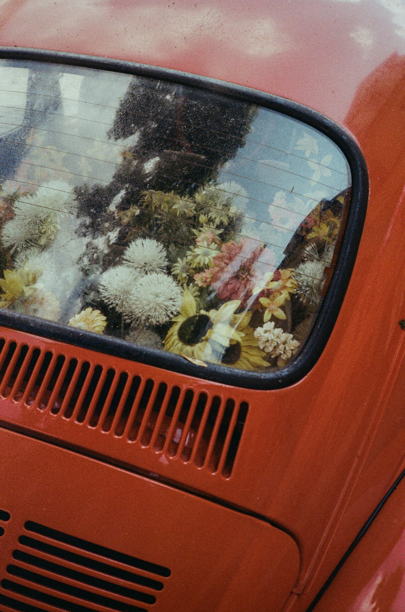 Matot-Masei: Holiness, Hatred and us | Adath Israel